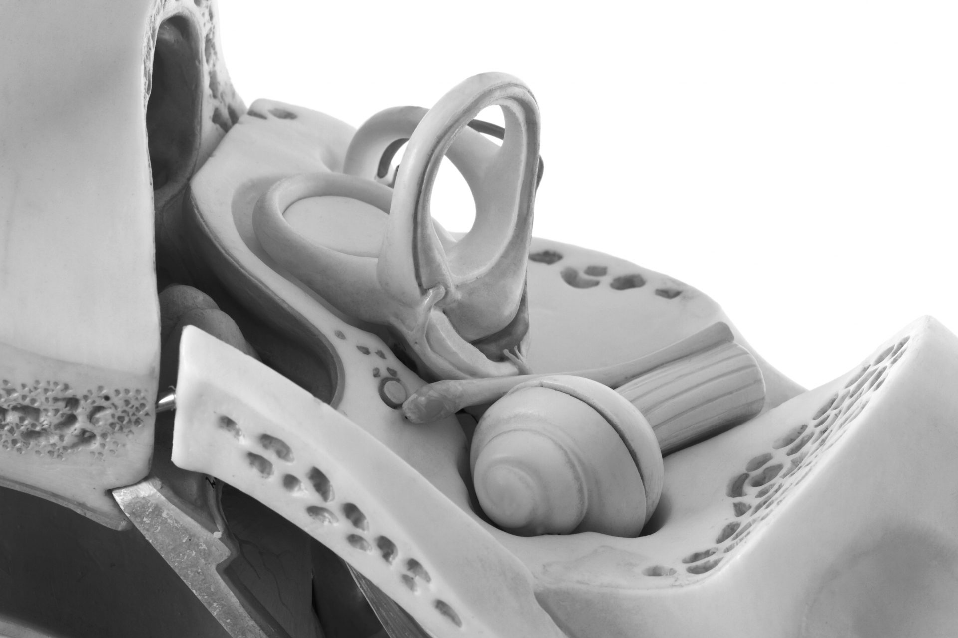 IVRT® - Autoimmune Innenohrerkrankung