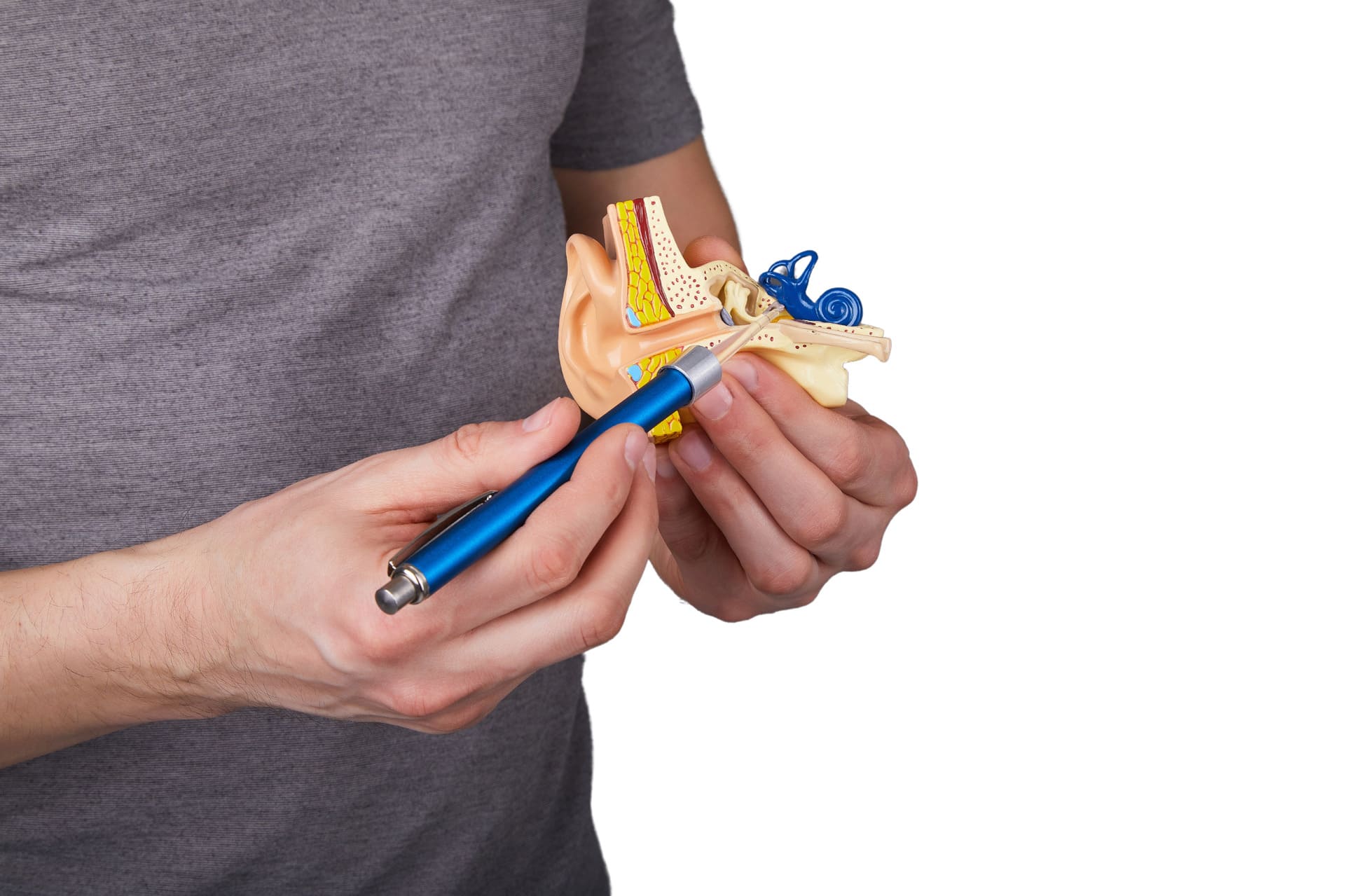 IVRT® - Otosclerosis: Symptoms, diagnosis & treatment